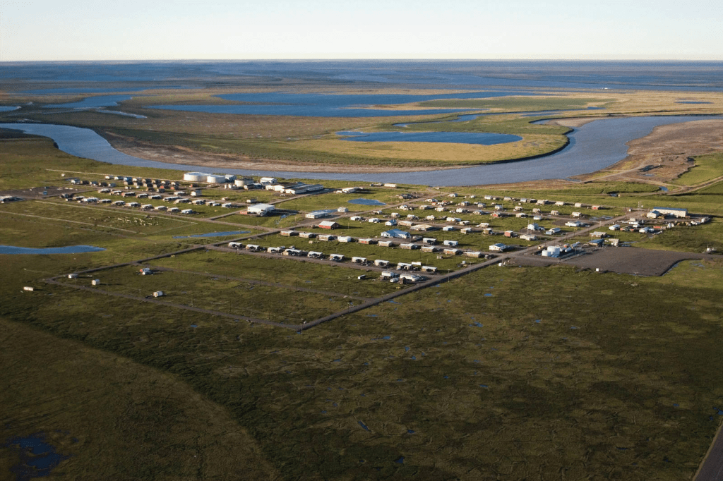 The Willow Project is Closer to Home Than We Think – The Greenhouse Blog